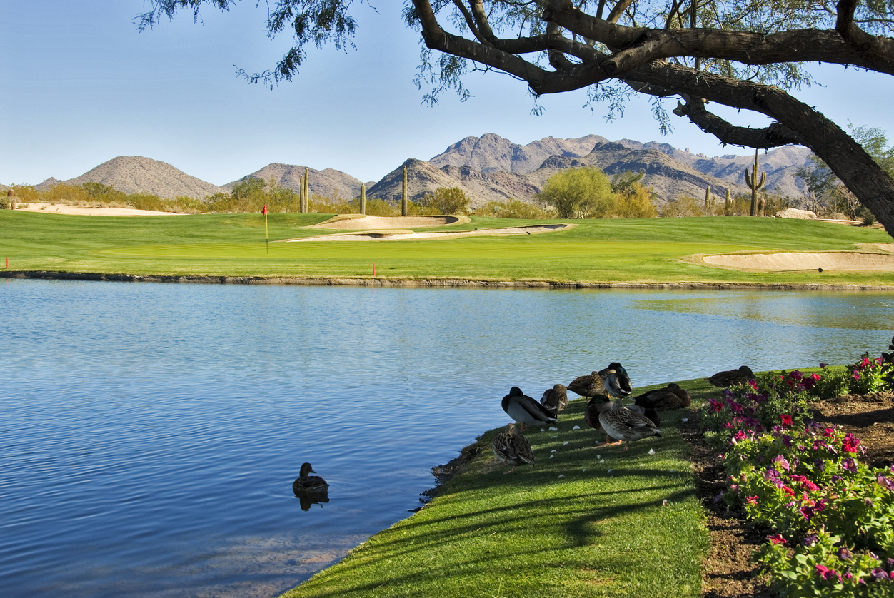 Grayhawk Golf Club